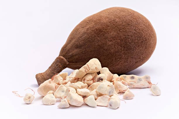 Découvrez les vertus exceptionnelles du fruit de baobab - Santezone